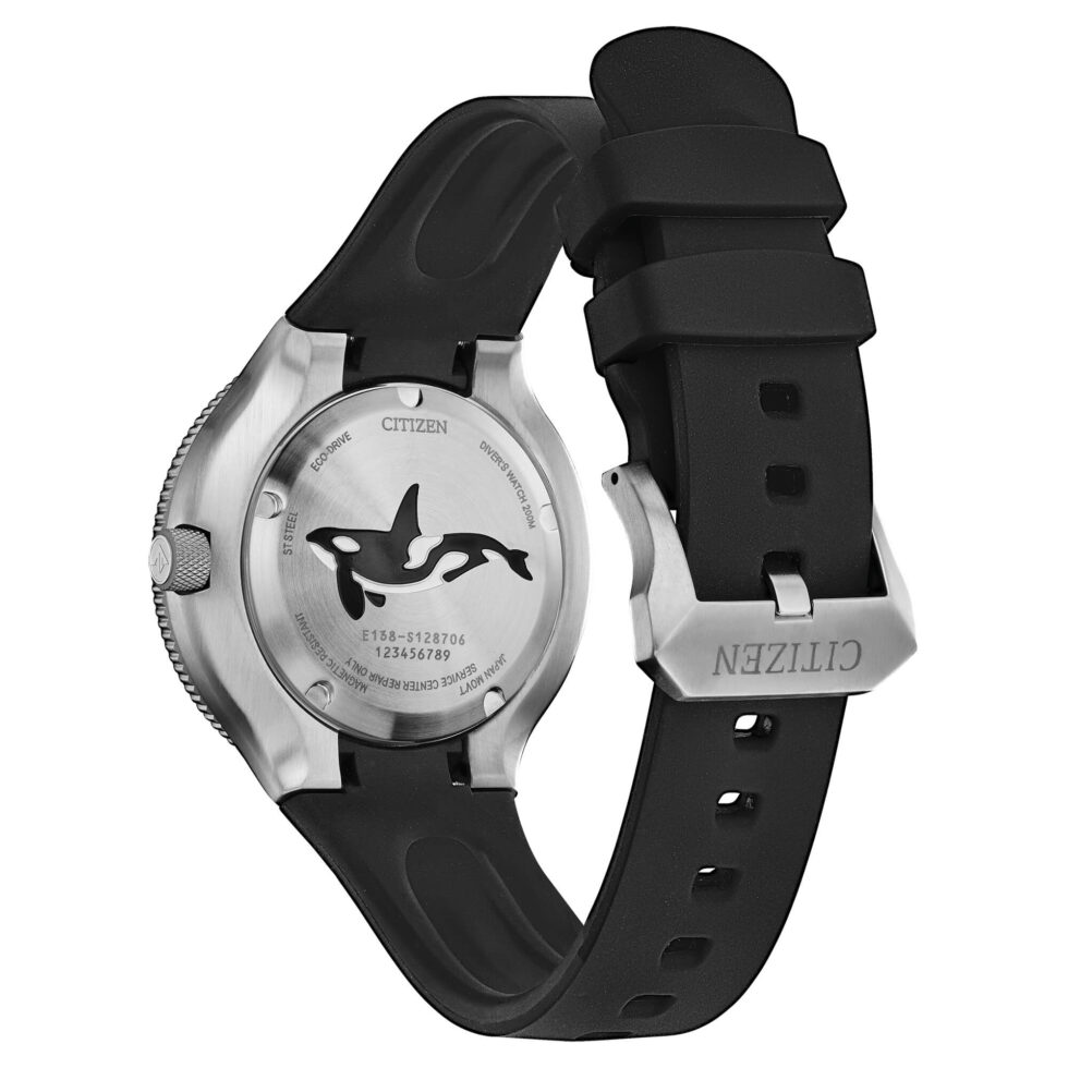Promaster - Citizen